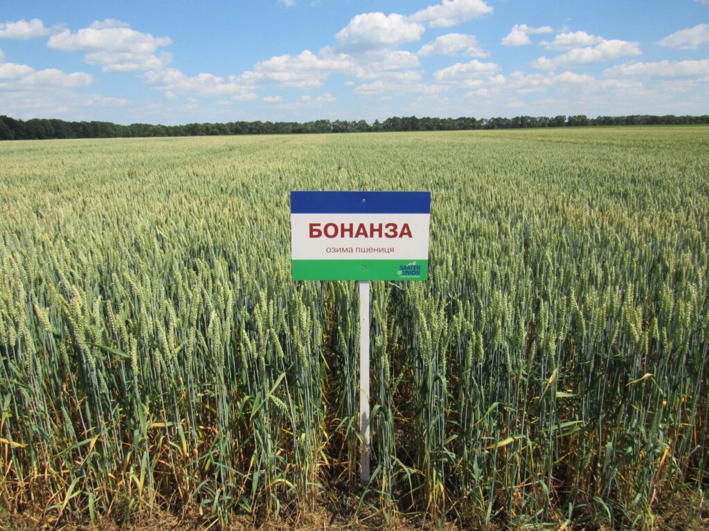 Бонанза - Agro Forte